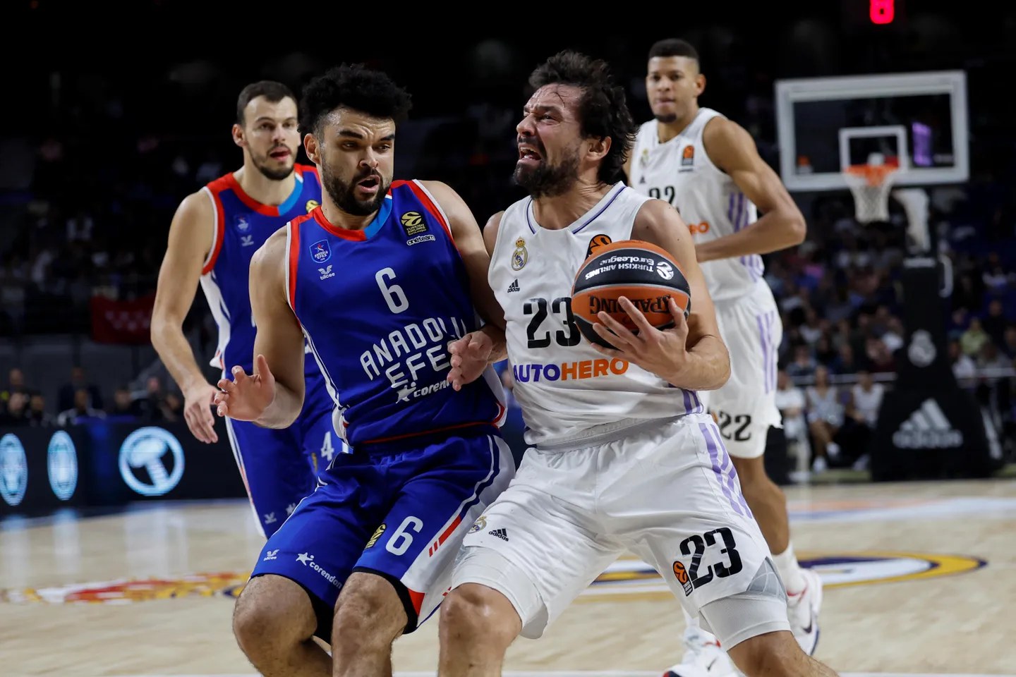 Micic will try to lead the reigning champions over Real Madrid ...
